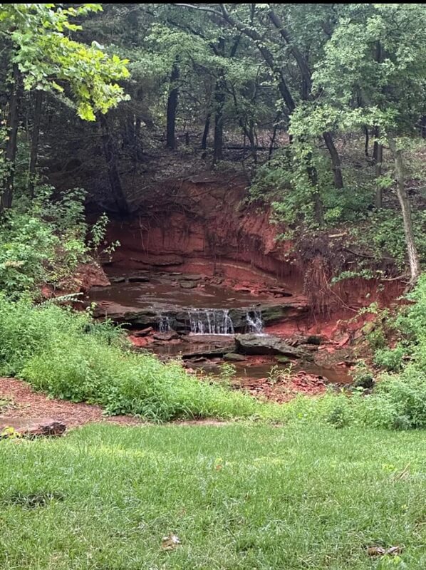 Student asks if storm makes snake-filled pond safe to explore: 'Can I ...