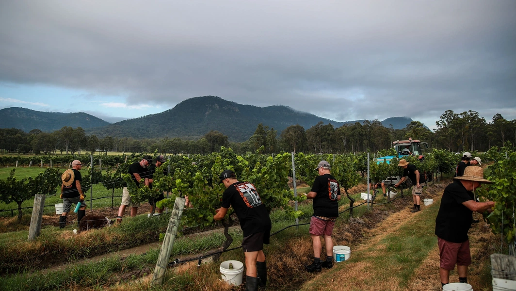 Sip your way through Hunter Valley wine country