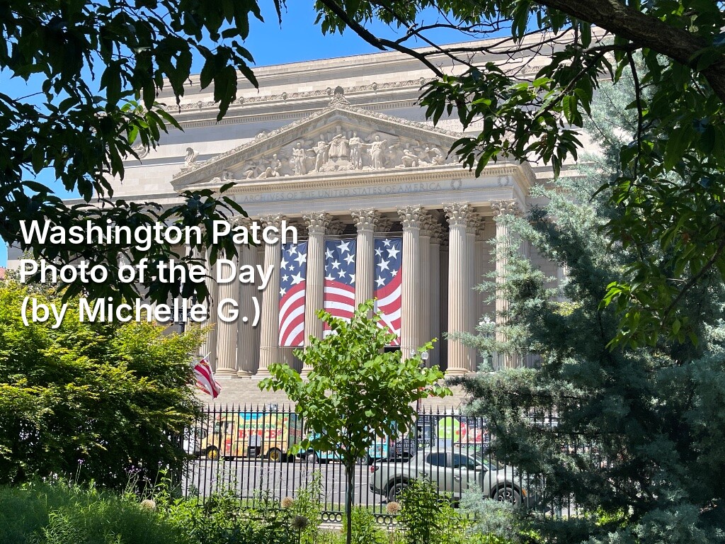 🌱 Patch AM: How a rising deck dominated Washington’s latest Magic: The ...