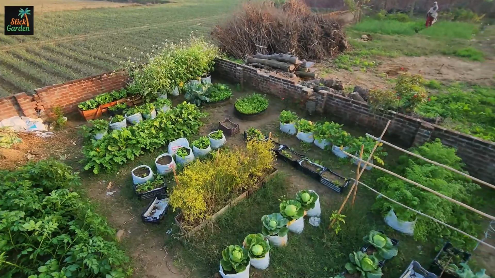 Easy DIY fertilizer: The secret garden weed hack