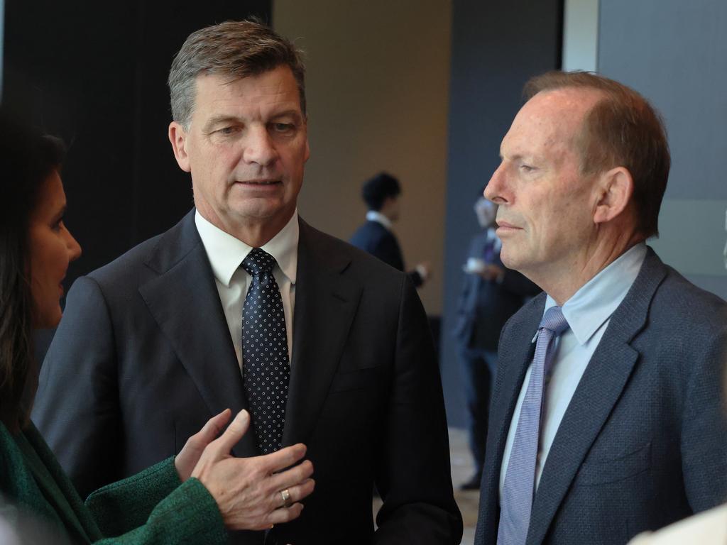 Serious work: Libs admission after One Nation poll surge