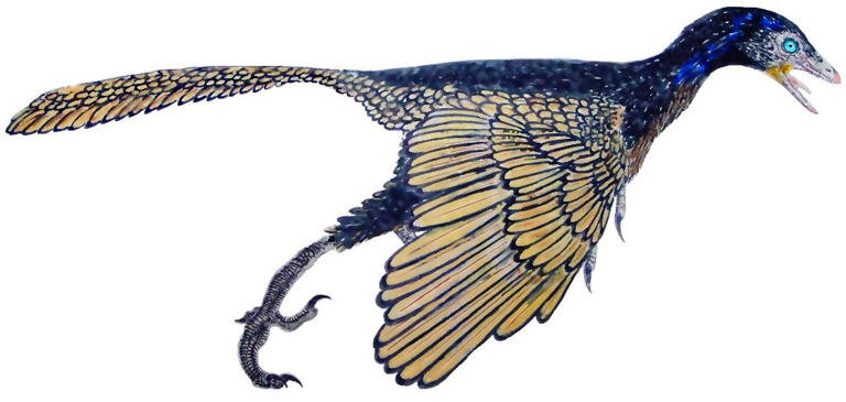Ptak czy gad? Archeopteryks to największa zagadka paleontologii