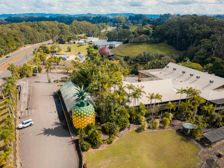 Australia’s most famous pineapple is getting a $5 million glow-up
