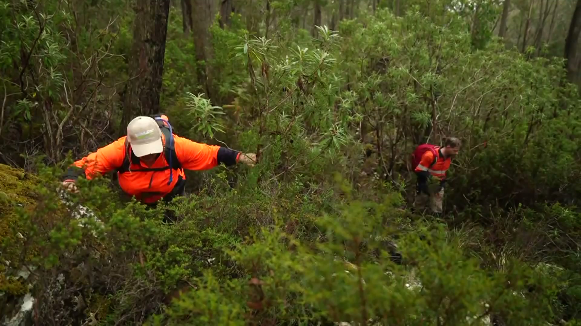 Tasmania Police 'open' to learning from volunteer group that has found ...
