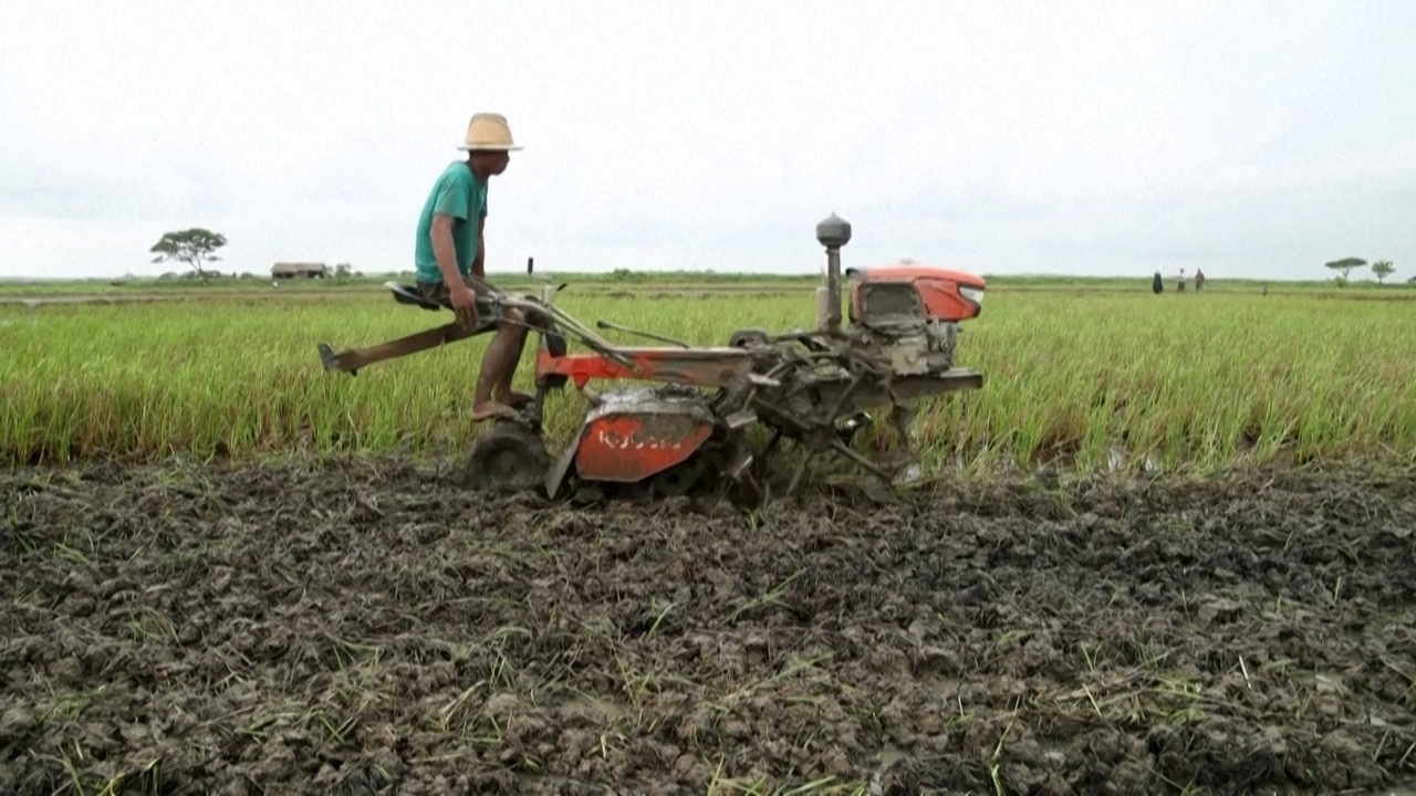 Myanmar farmers face ruin as Middle East war chokes off key supplies