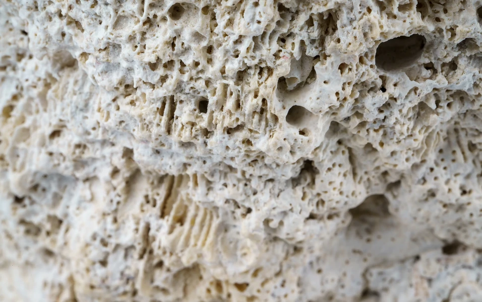 Sedimentary rocks tell Earth’s hidden stories