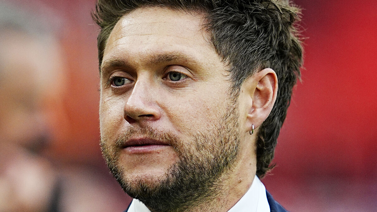 Niall Horan says his last memory with Liam Payne was 'happy'