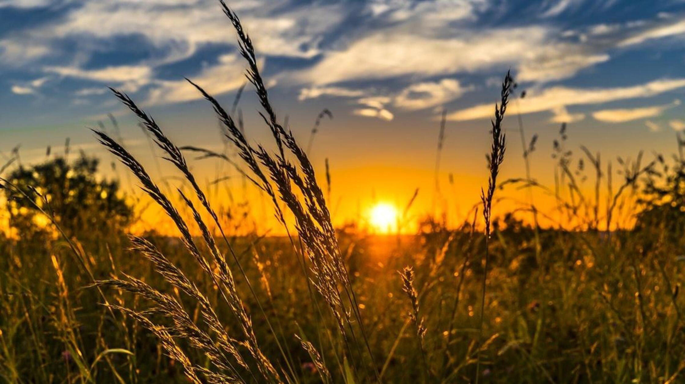Sommersonnenwende 2026: Heute ist der längste Tag des Jahres - und die ...