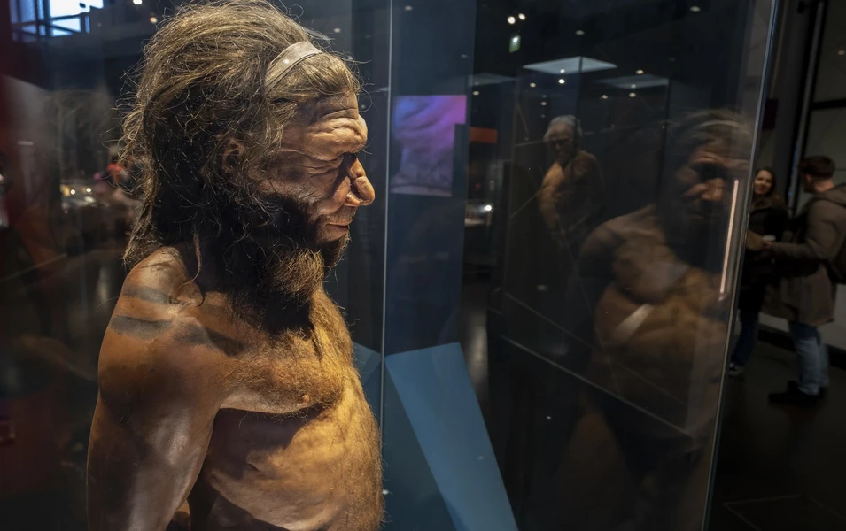 Neanderthal DNA linked to weaker defenses against DNA viruses