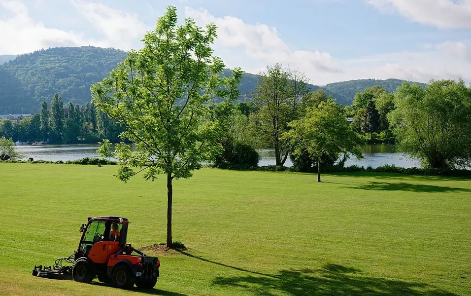 Choosing the right mower for your lawn