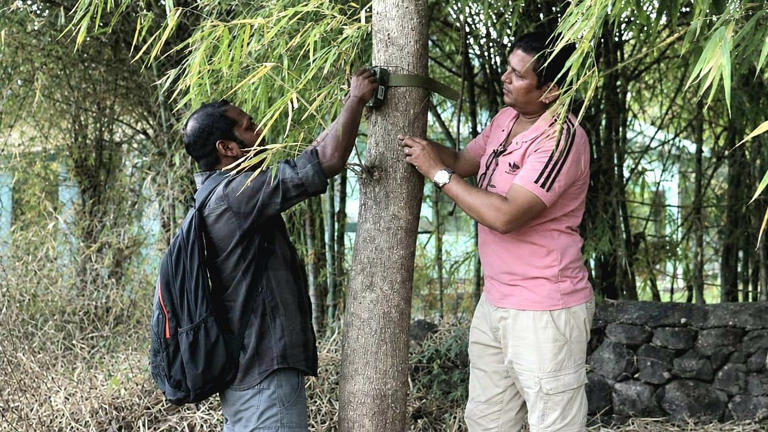 Uttarakhand's Haldwani forest division launches AI initiative to ...