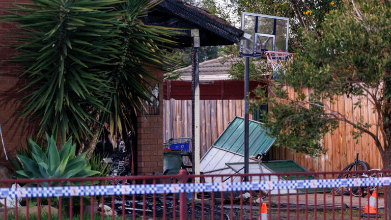 Dogs die by toddler’s side in house fire