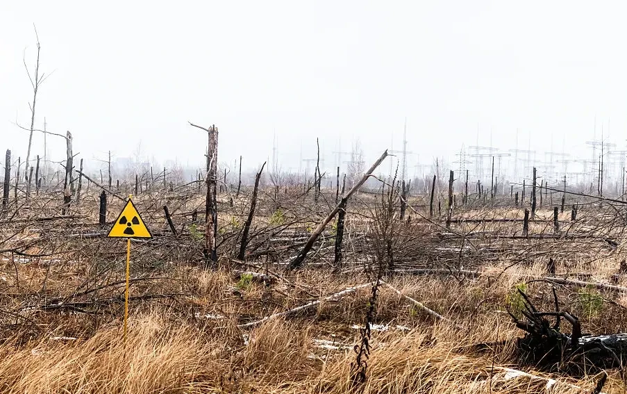 Chernobyl’s untold stories of survival and change