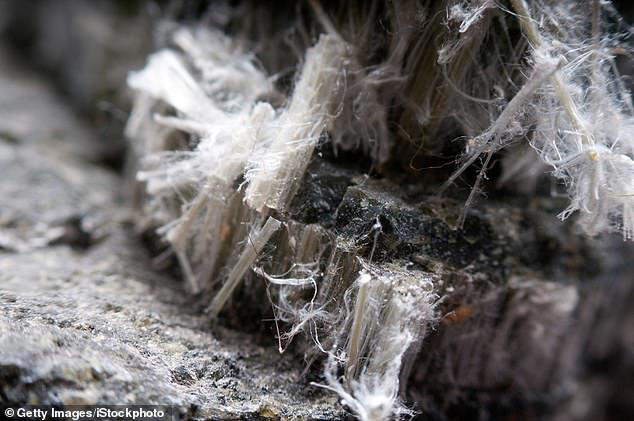 Asbestos time-bomb: Toxic mineral may be killing four times more people ...