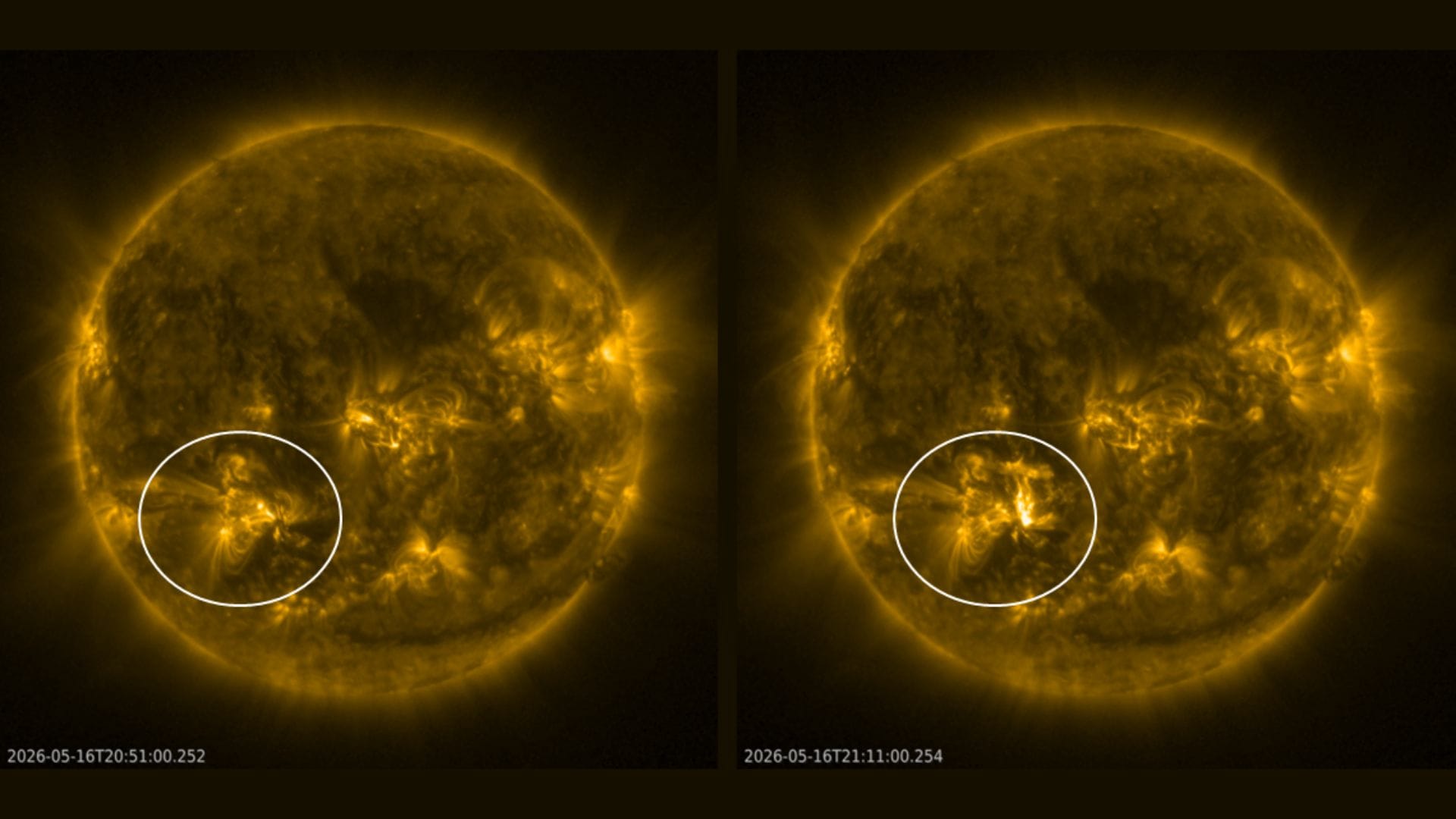 Active sunspot cluster fizzles out after rotating into view