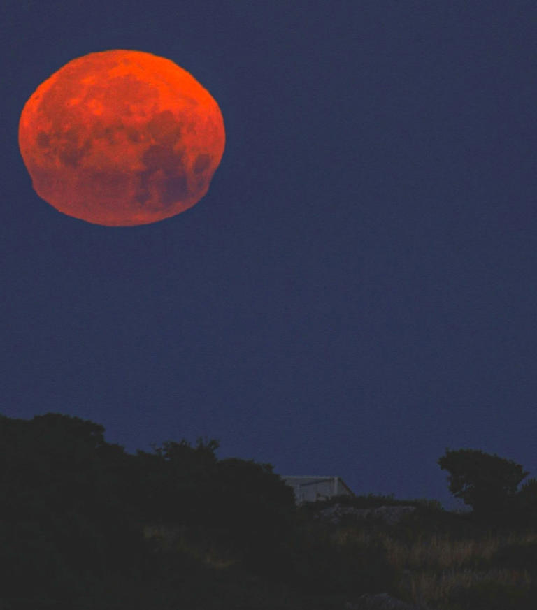 In pictures – the stunning Blue Moon 2026 captured by photographers ...