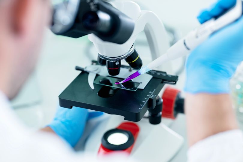 Major breakthrough as pill could nearly double survival chances for ...