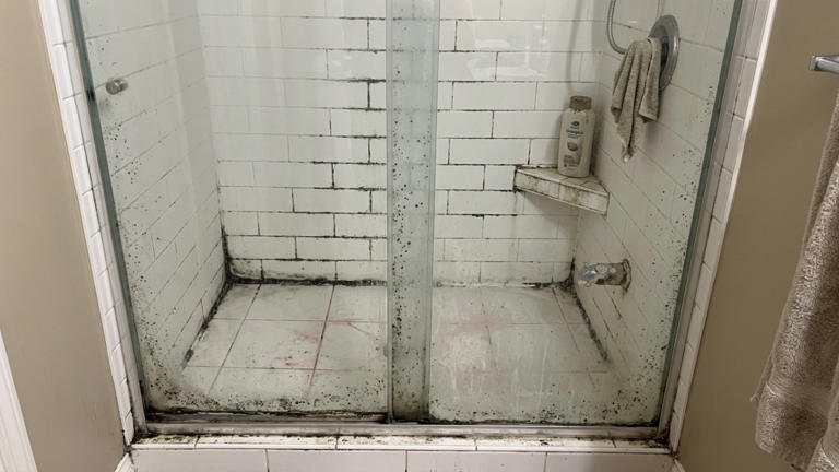 O box de vidro cheio de mofo ficou para trás: o macete do banheiro ...