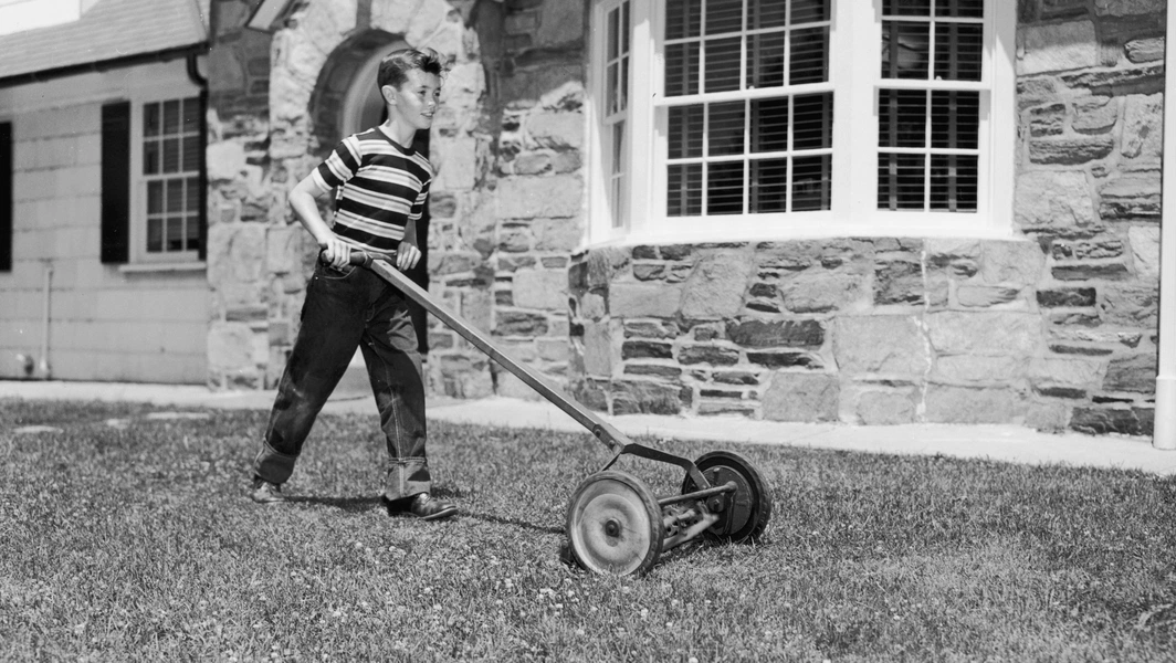 Choosing the right mower for your lawn