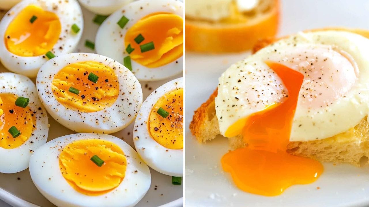 Eggs in summer: Why experts say this protein-rich food is not your enemy