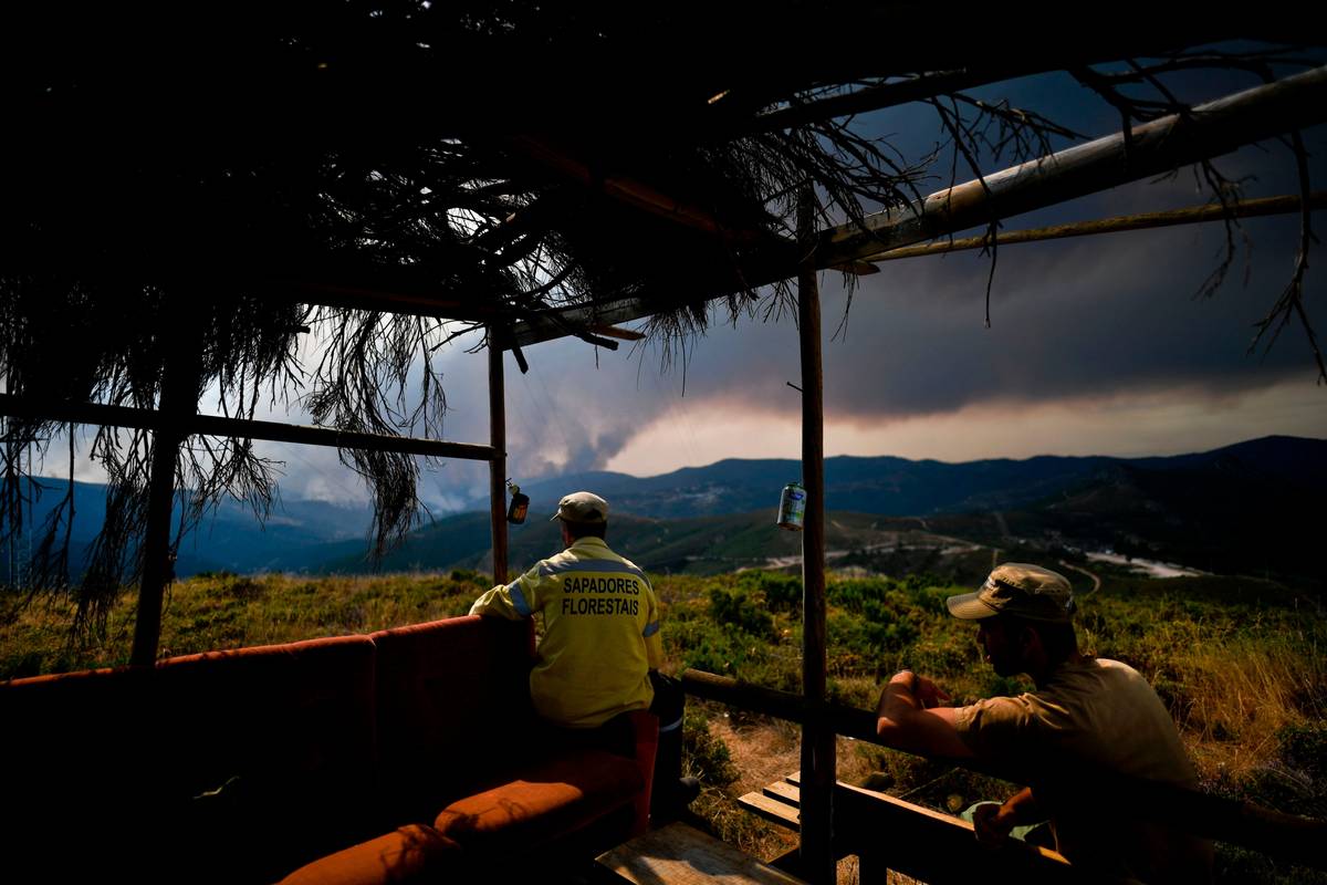 Mais de 160 concelhos em perigo máximo de incêndio com temperaturas até ...