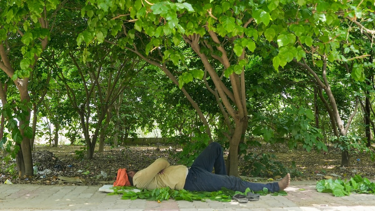 3,400 deaths in a day: India's extreme heat days are deadlier than we ...