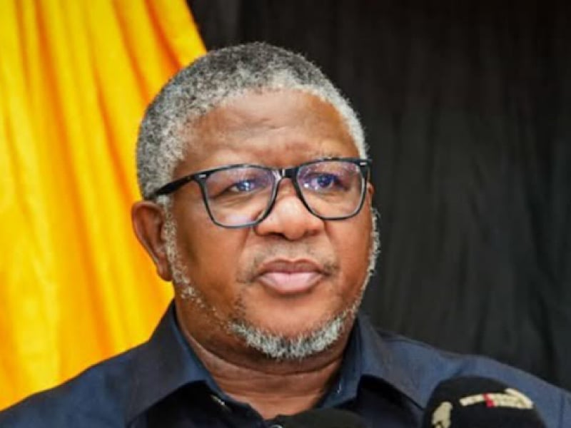 ANC promises fair Phala Phala impeachment process