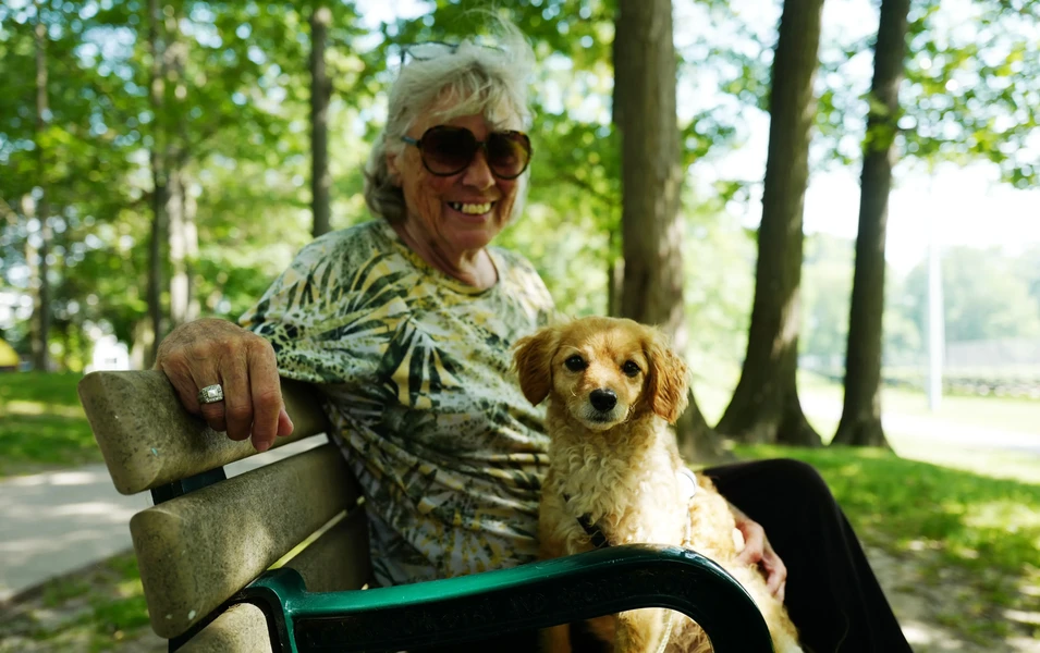 Dogs' joyful grandma visits melt hearts online