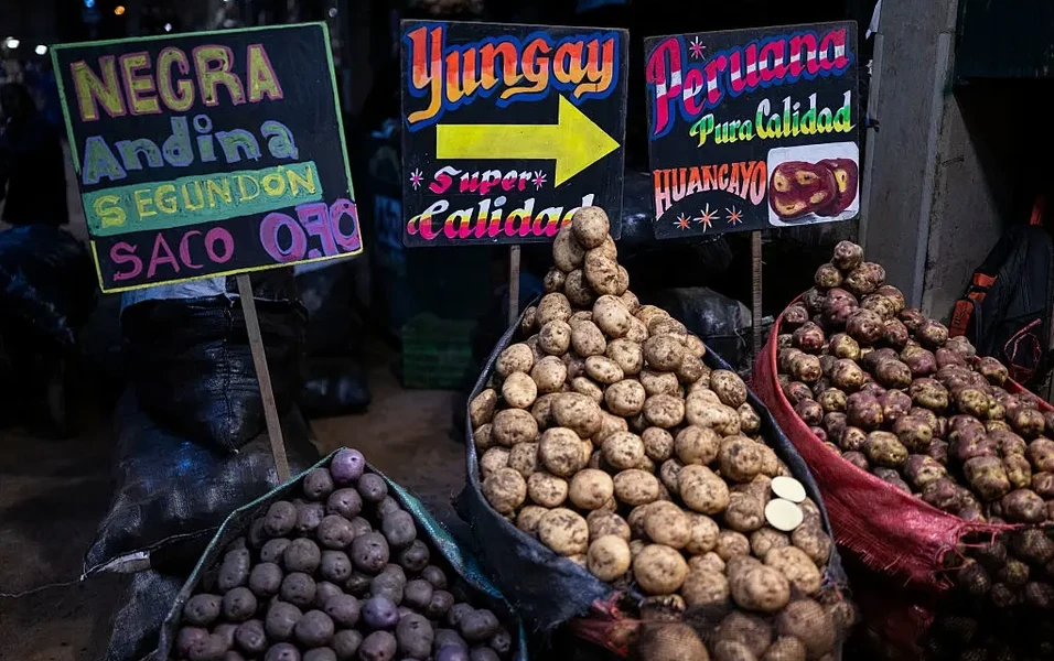 How the potato shaped human history and health