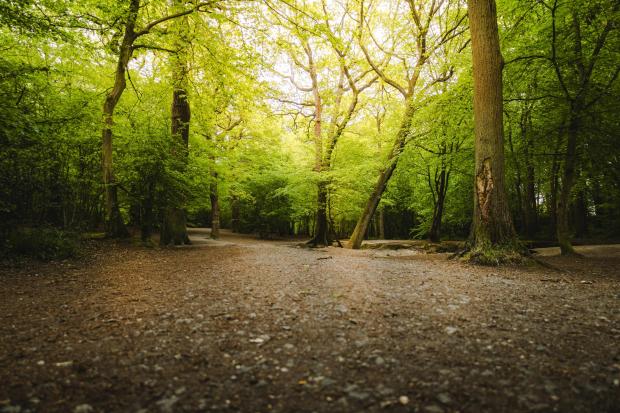 Southend introduces its first-ever flood management scheme to protect homes