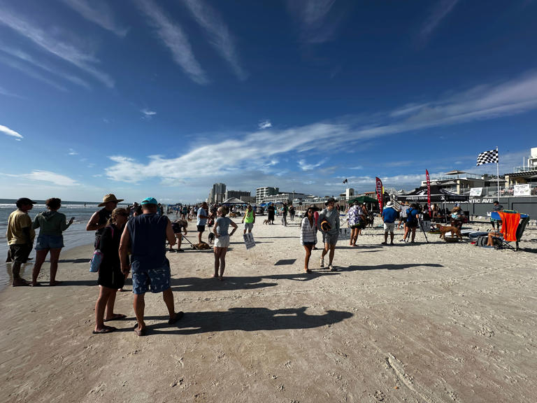 Daytona Beach hosts Hang Eight dog surfing extravaganza