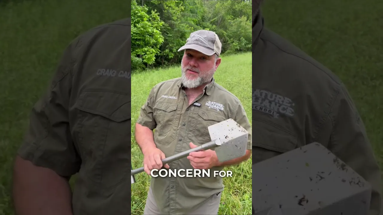 Poison hemlock warning: Do not mow this plant without knowing it