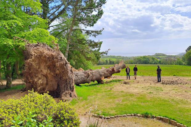 Storm-damaged National Trust garden terrace reopens with new memorial