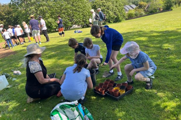 Island children sow seeds for community wildflower meadow