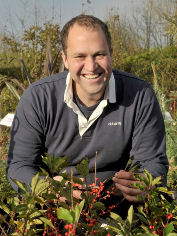 Gardeners urged not to cut hedges this month - it could be dangerous