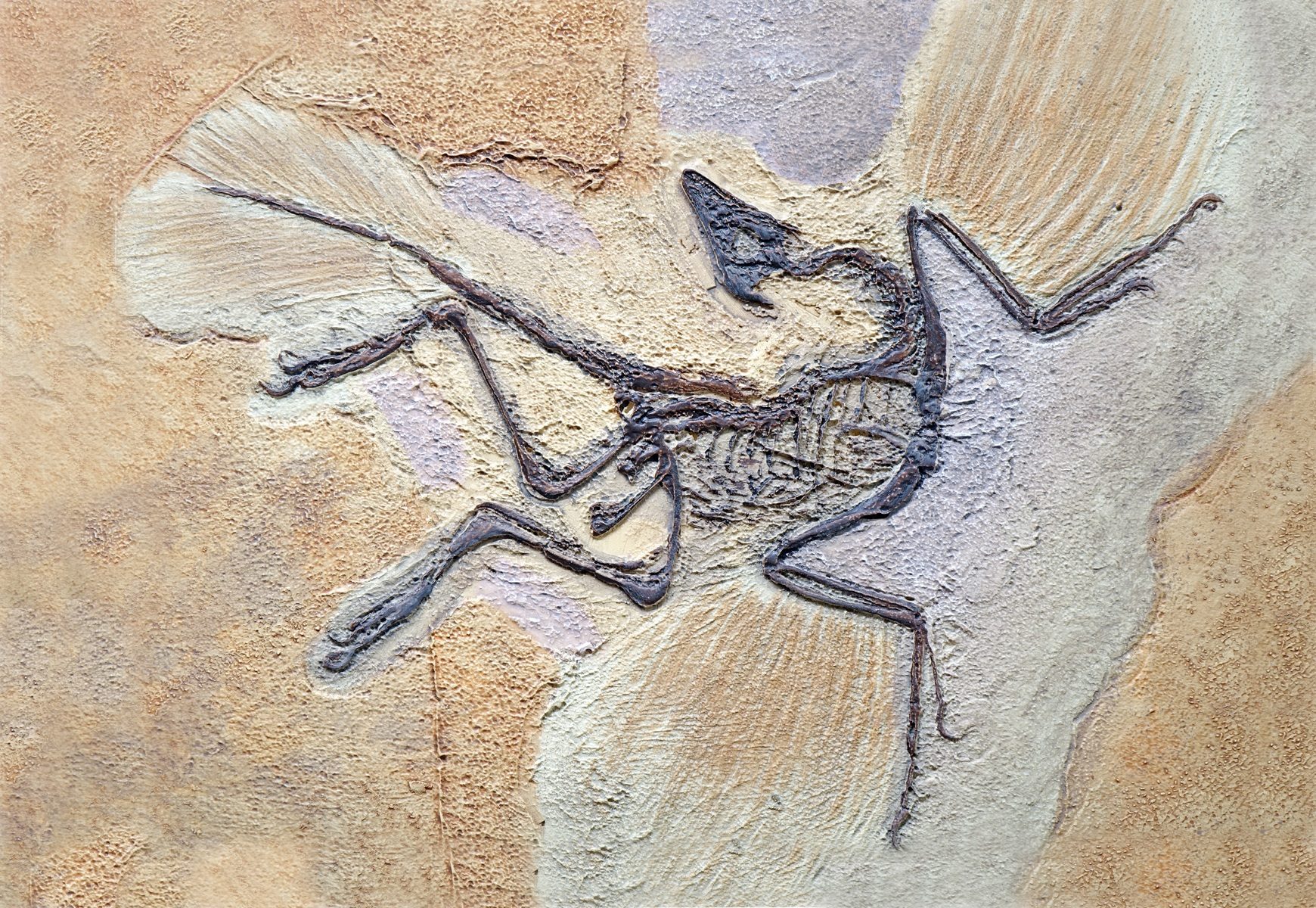 Ptak czy gad? Archeopteryks to największa zagadka paleontologii