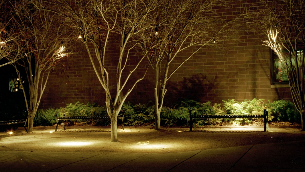 Transform your nights with dreamy outdoor lighting