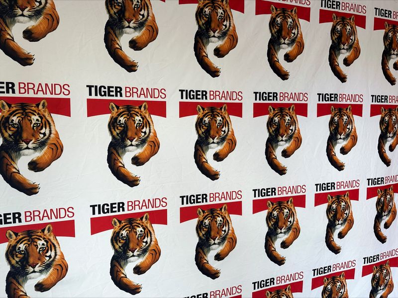Tiger Brands posts slightly higher first-half earnings, warns of price ...