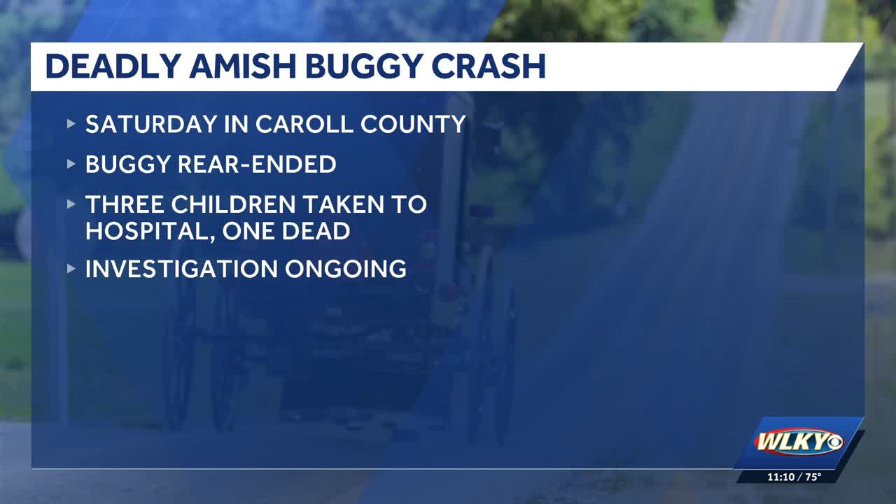 1 child dead, 2 seriously injured after Amish buggy rear-ended in ...