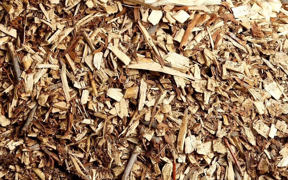 Experts outline when gardens need fresh mulch