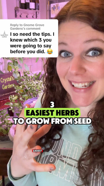 Easiest herbs to grow from seed at home