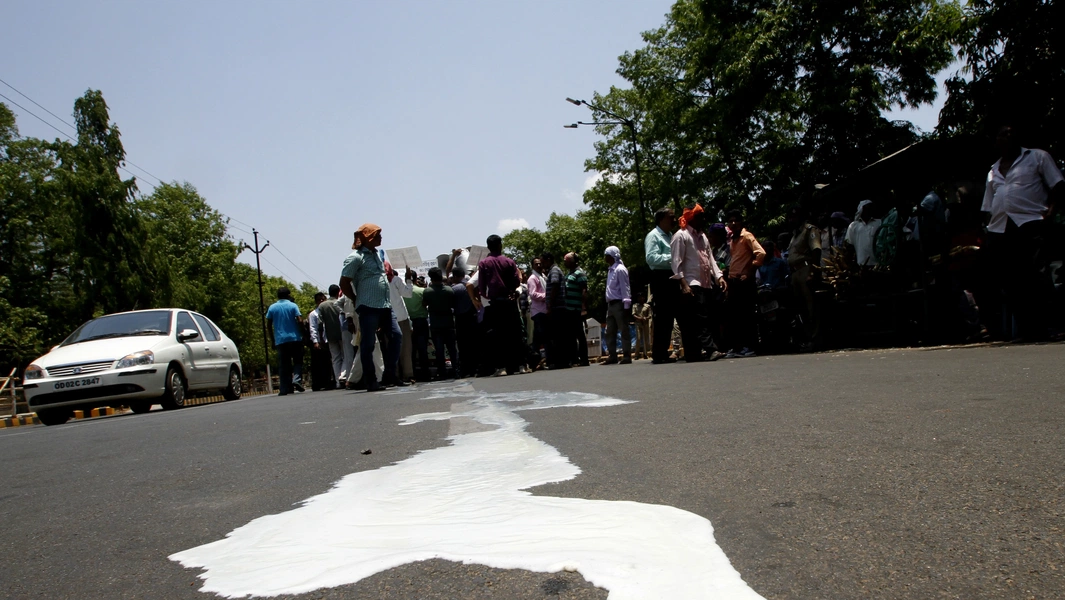 Odisha farmers dump 20,000 litres milk as Omfed halts procurement