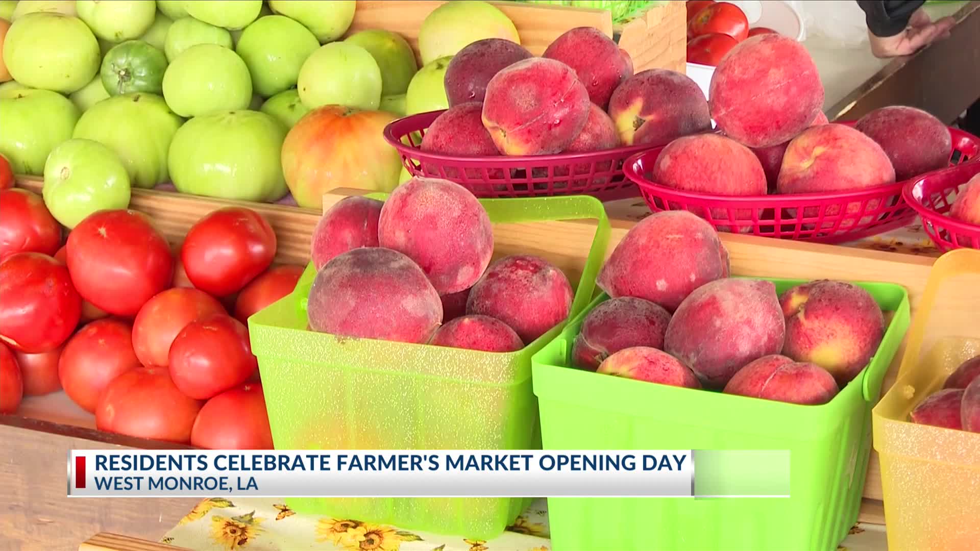 West Monroe City Farmers Market holds grand opening at Seventh Square