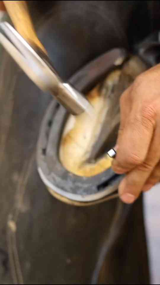 Dirty hoof to perfect in minutes