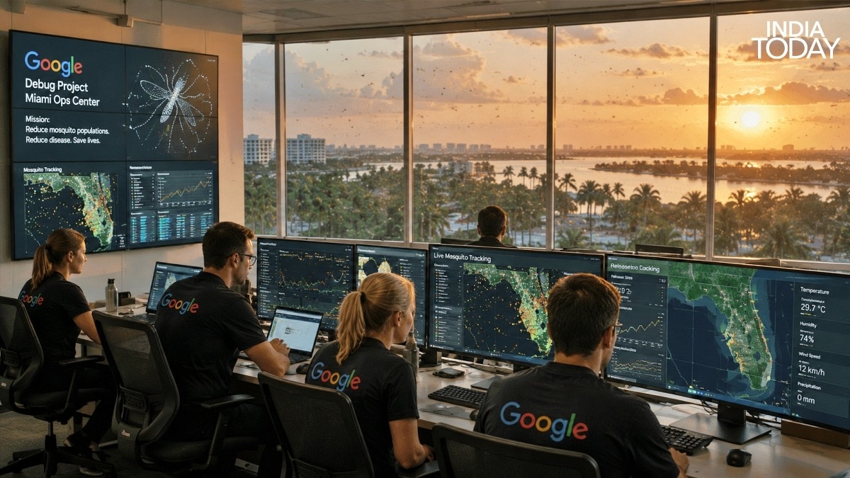 Google to release 32 million mosquitoes in Florida: How it will reduce ...