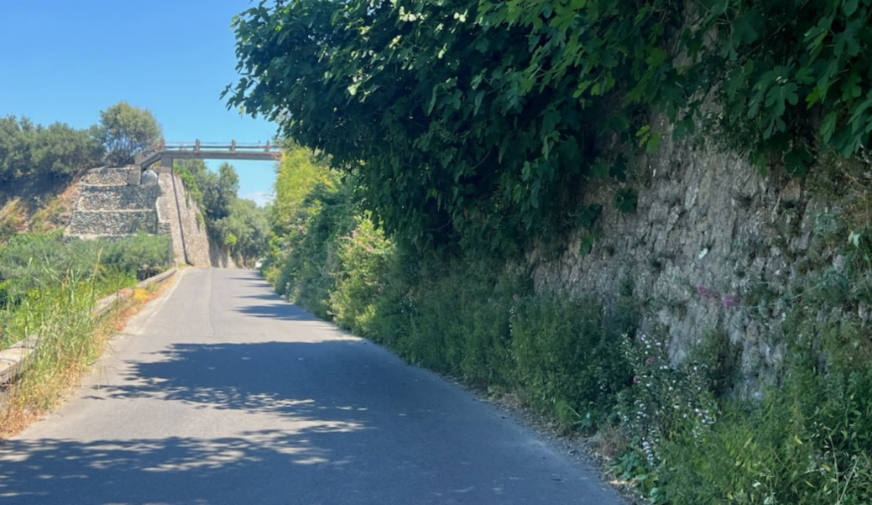 Strade provinciali della Valle d’Agrò: servono interventi per la sicurezza