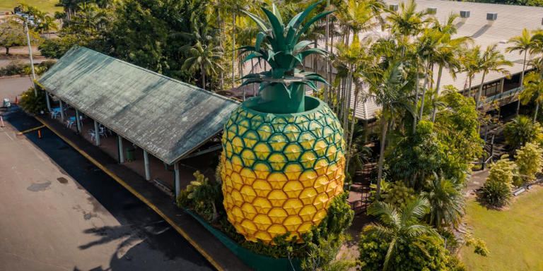 Australia’s most famous pineapple is getting a $5 million glow-up