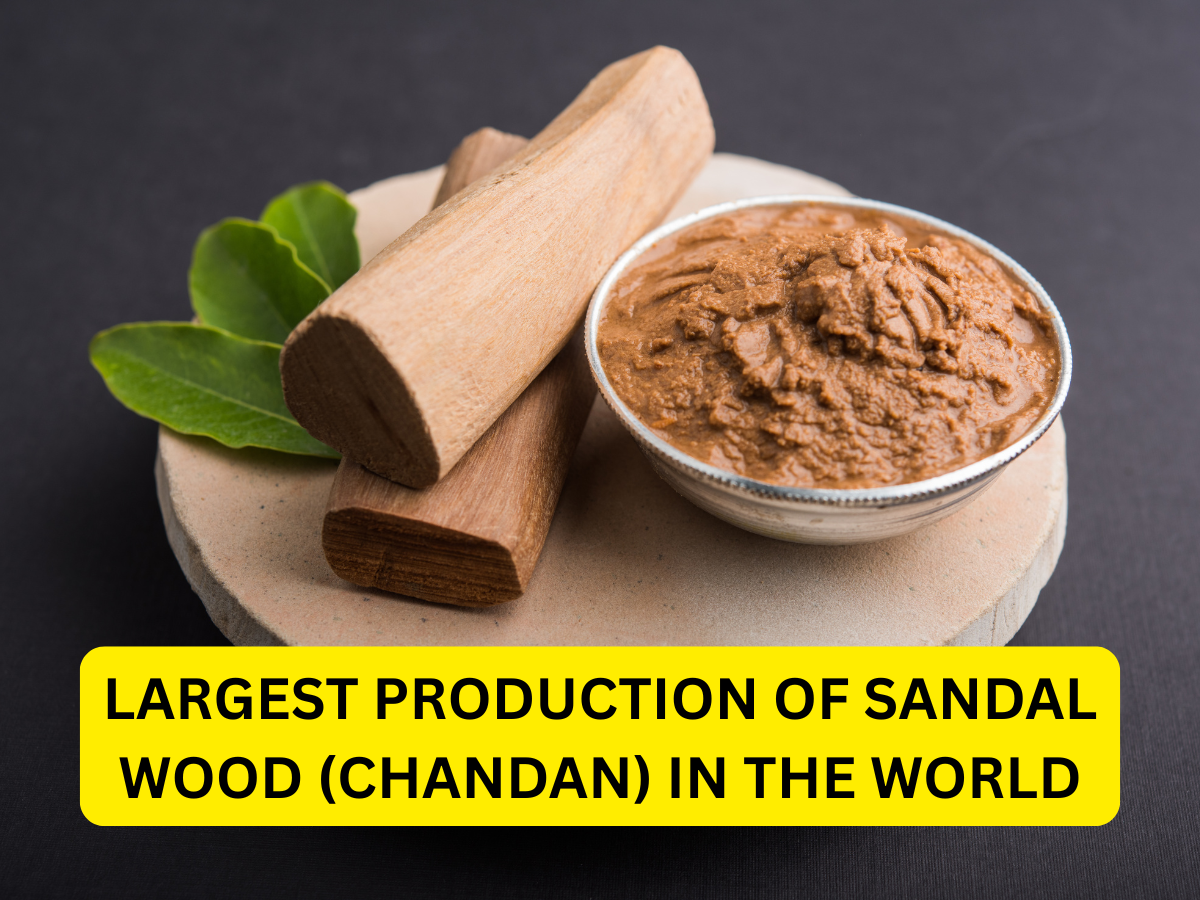 Which Country has Largest Production of Sandalwood (Chandan) in the ...
