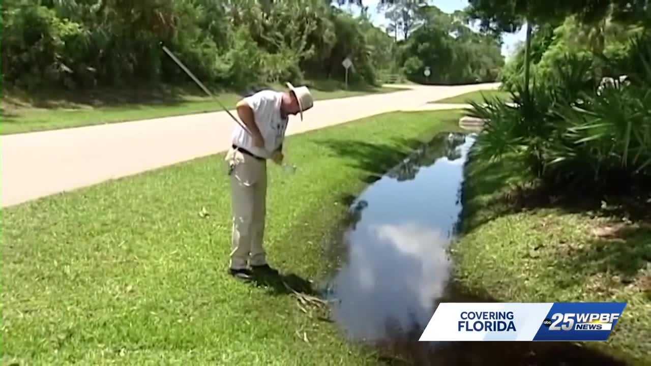 Florida mosquito control officials raise concerns over property tax reforms