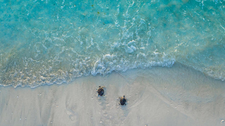 Abu Dhabi's Saadiyat Beach named among world's 50 best beaches